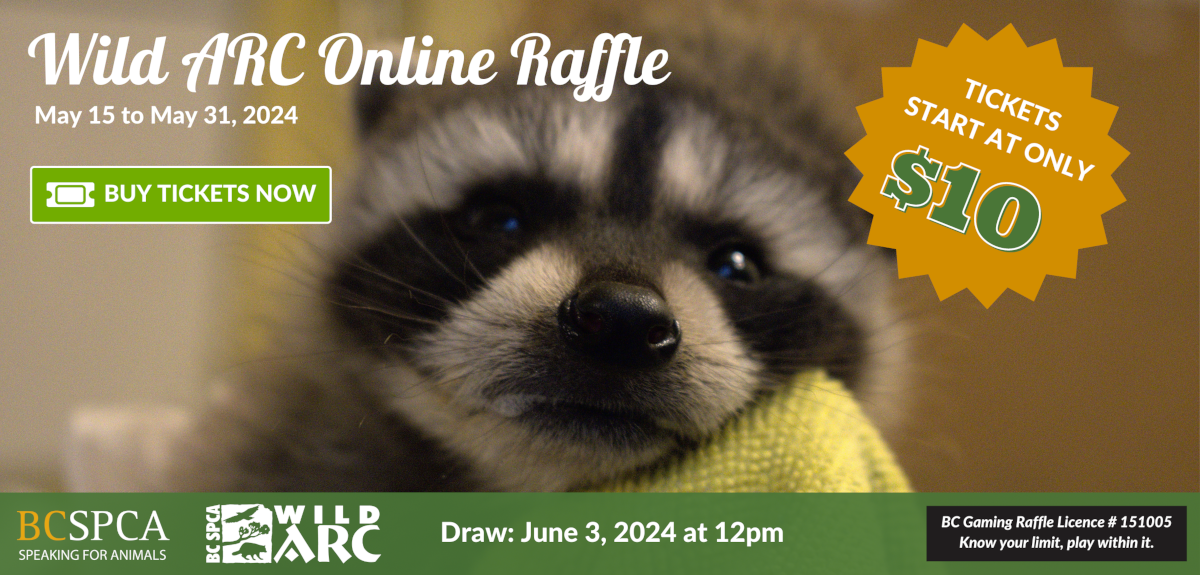 darelle.com | 2024 Wild ARC Raffle