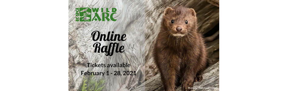 darelle.com | Wild ARC Annual Raffle